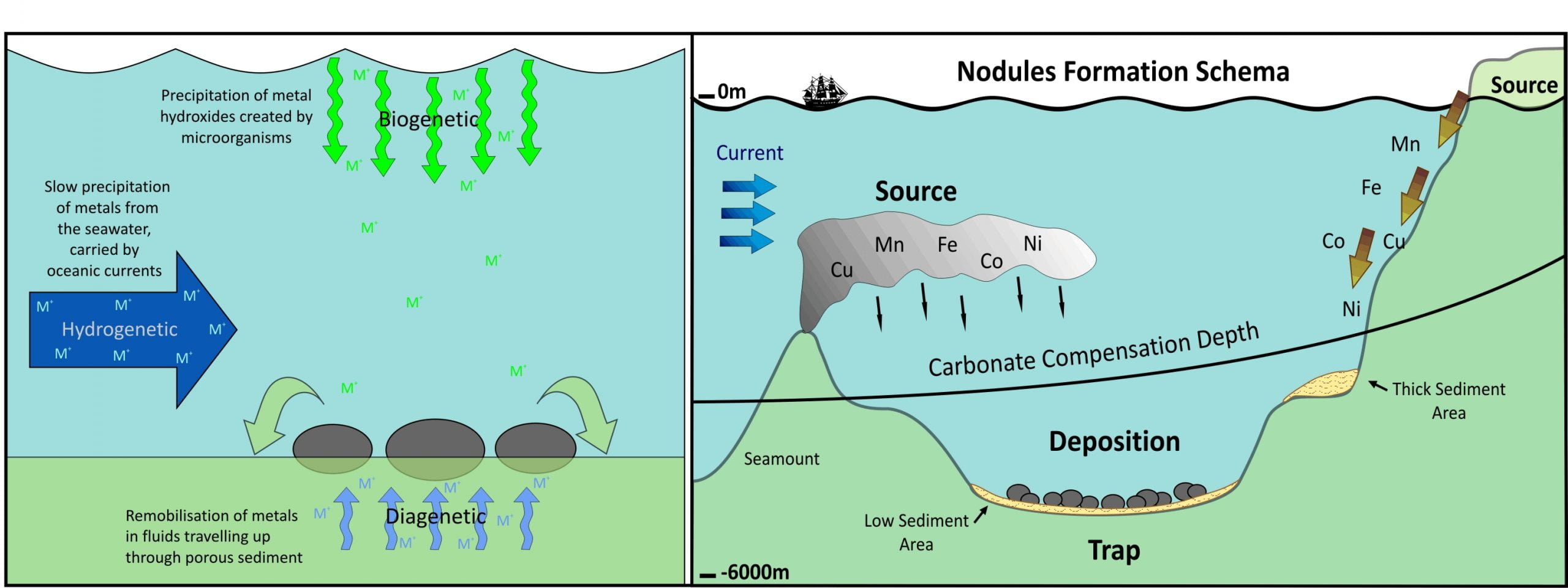 Cook Islands SBMA | Kenex